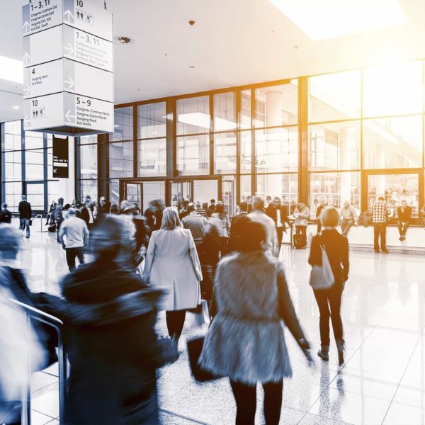 DUO UNIVERSITY - Duo Display