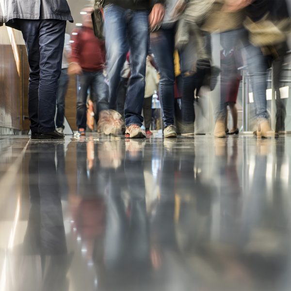 DUO UNIVERSITY - Duo Display